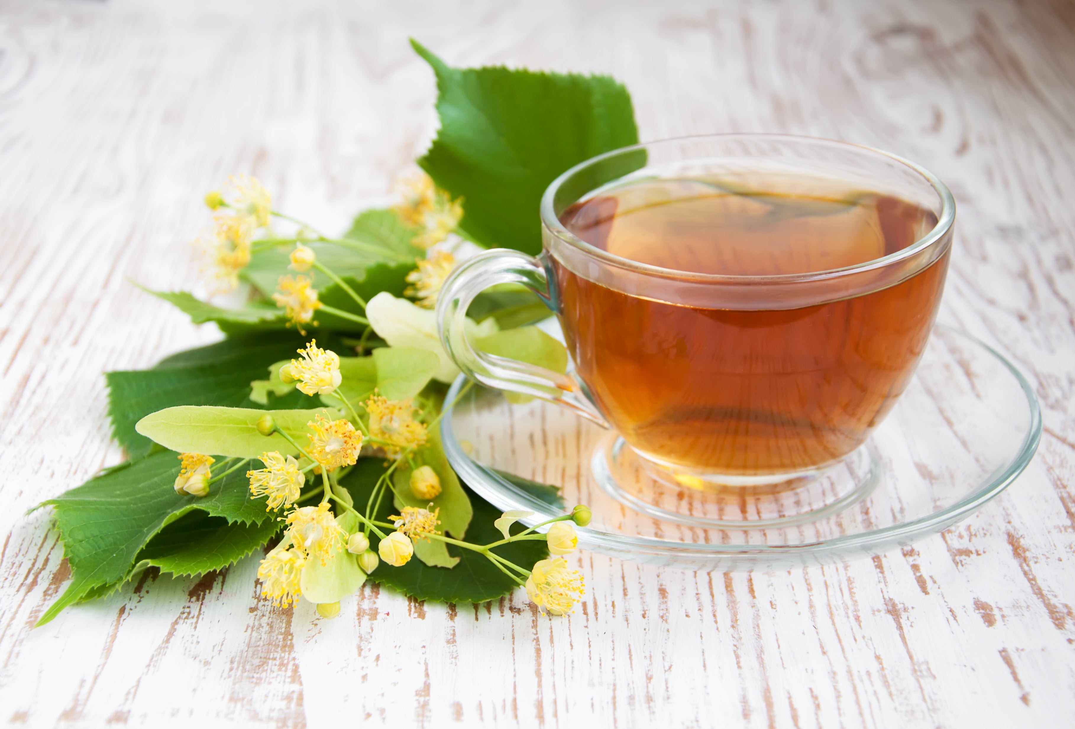 Carmencita Tila Linden Flower 20 Tea Bags – Amigo Foods